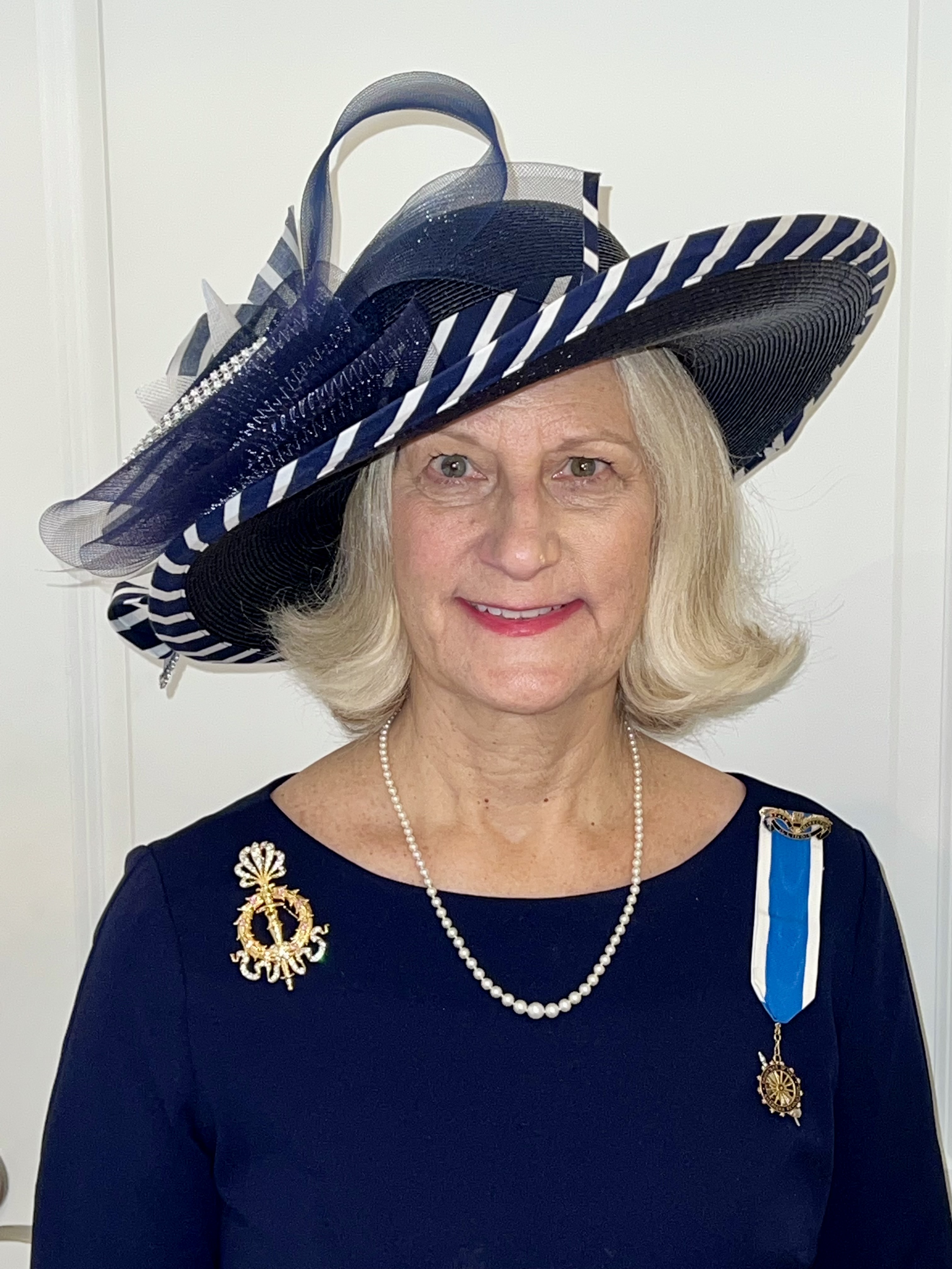 Illinois State Organization : District V