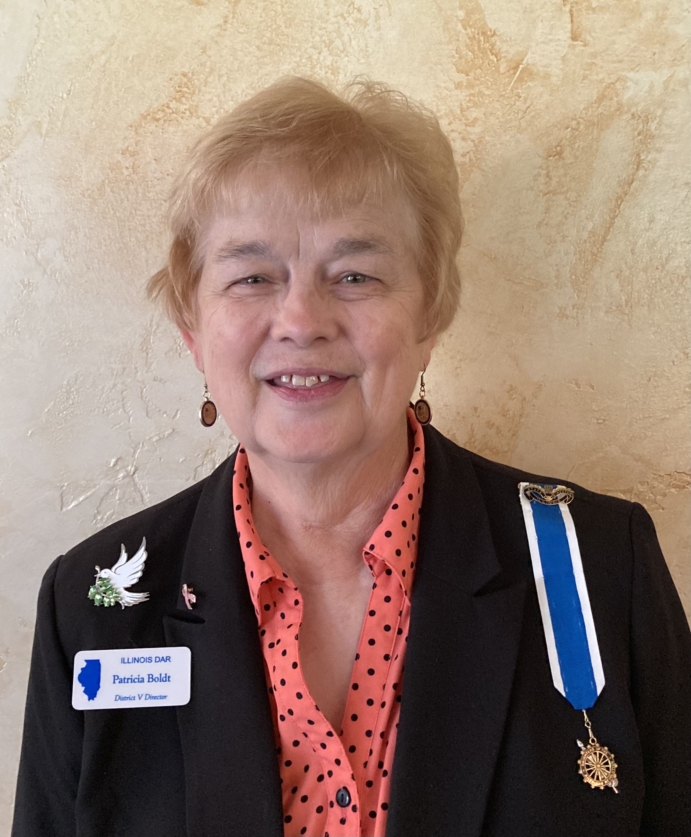 Illinois State Organization : District V